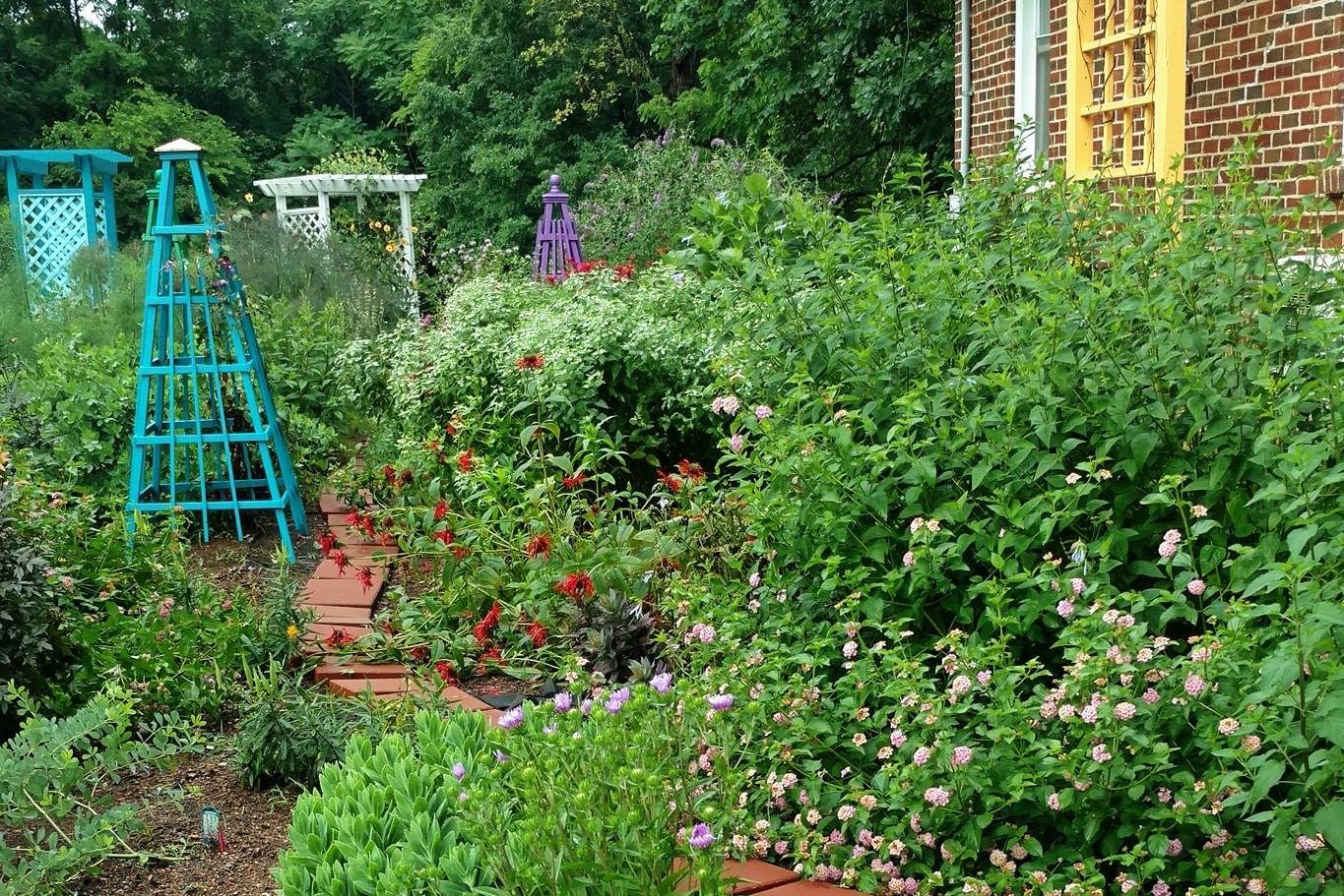Job Descriptions – Backyard Butterflies